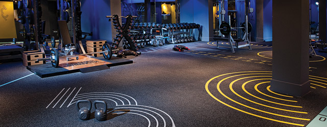 Making Room for Functional Strength Training in Mainstream Health Clubs ...