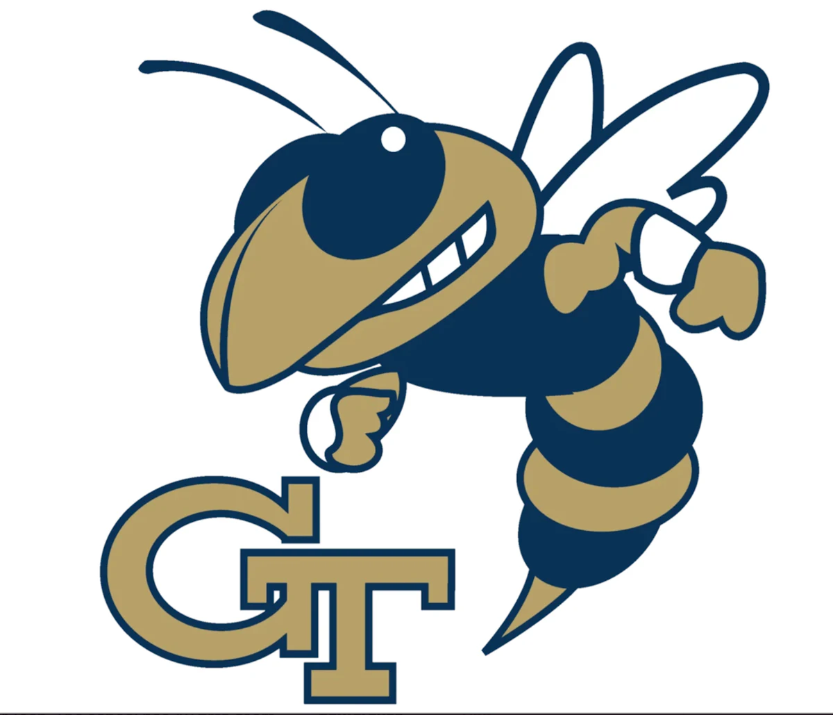 Georgia Tech's Bobby Dodd Stadium Capacity to Decrease Amid Performance ...