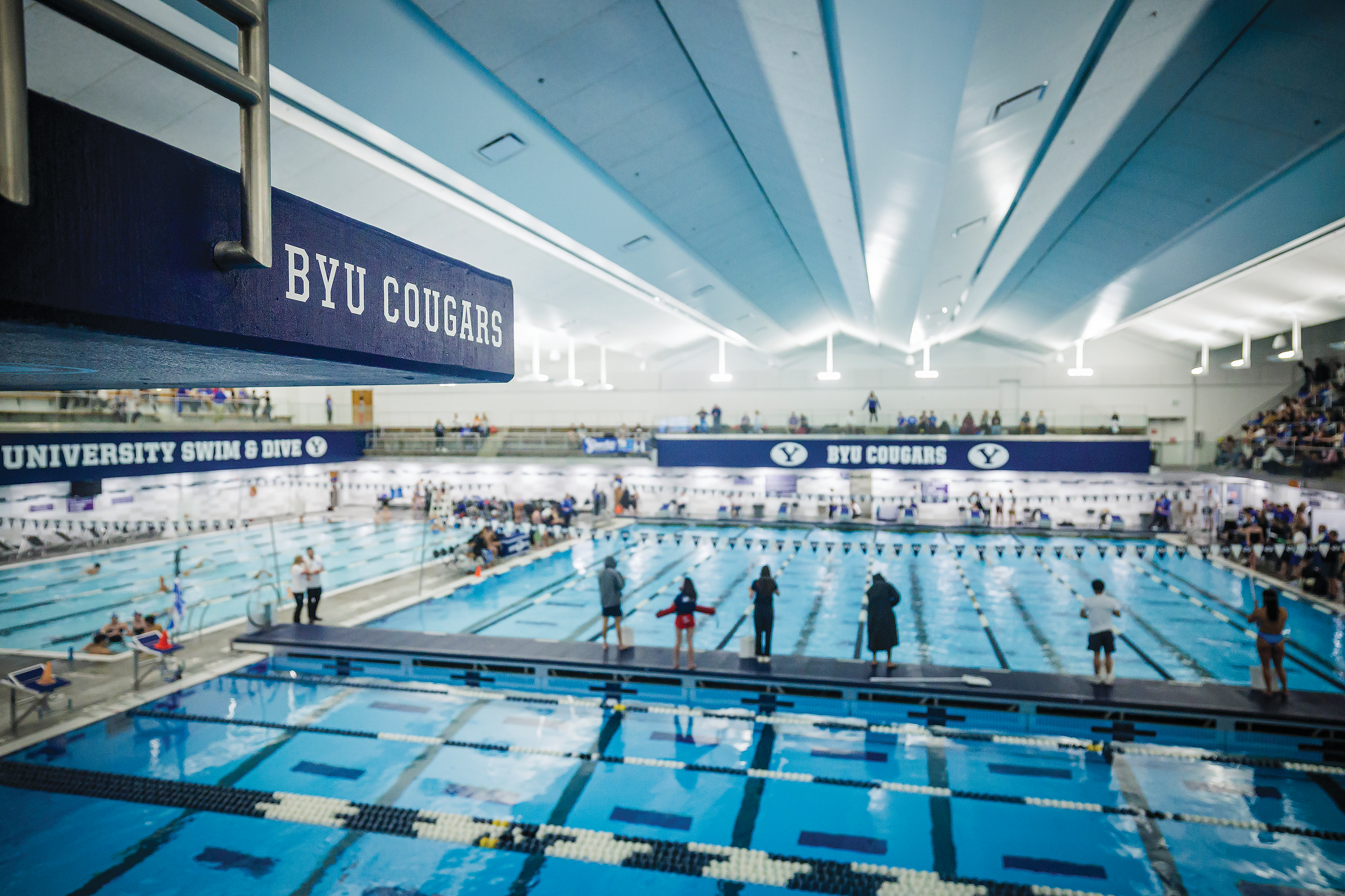 How Two D-I Swimming and Diving Programs are Adapting to NIL, Revenue ...