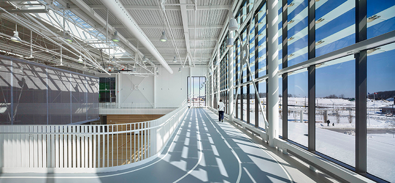 cornell library markham