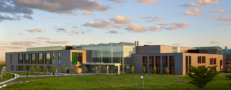 cornell library markham