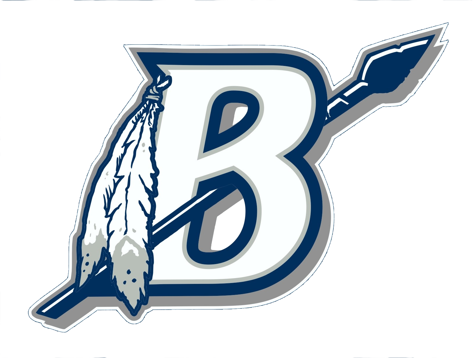 Student-Athlete Facing Charges for 'Choking Out' Wrestling Teammate in ...