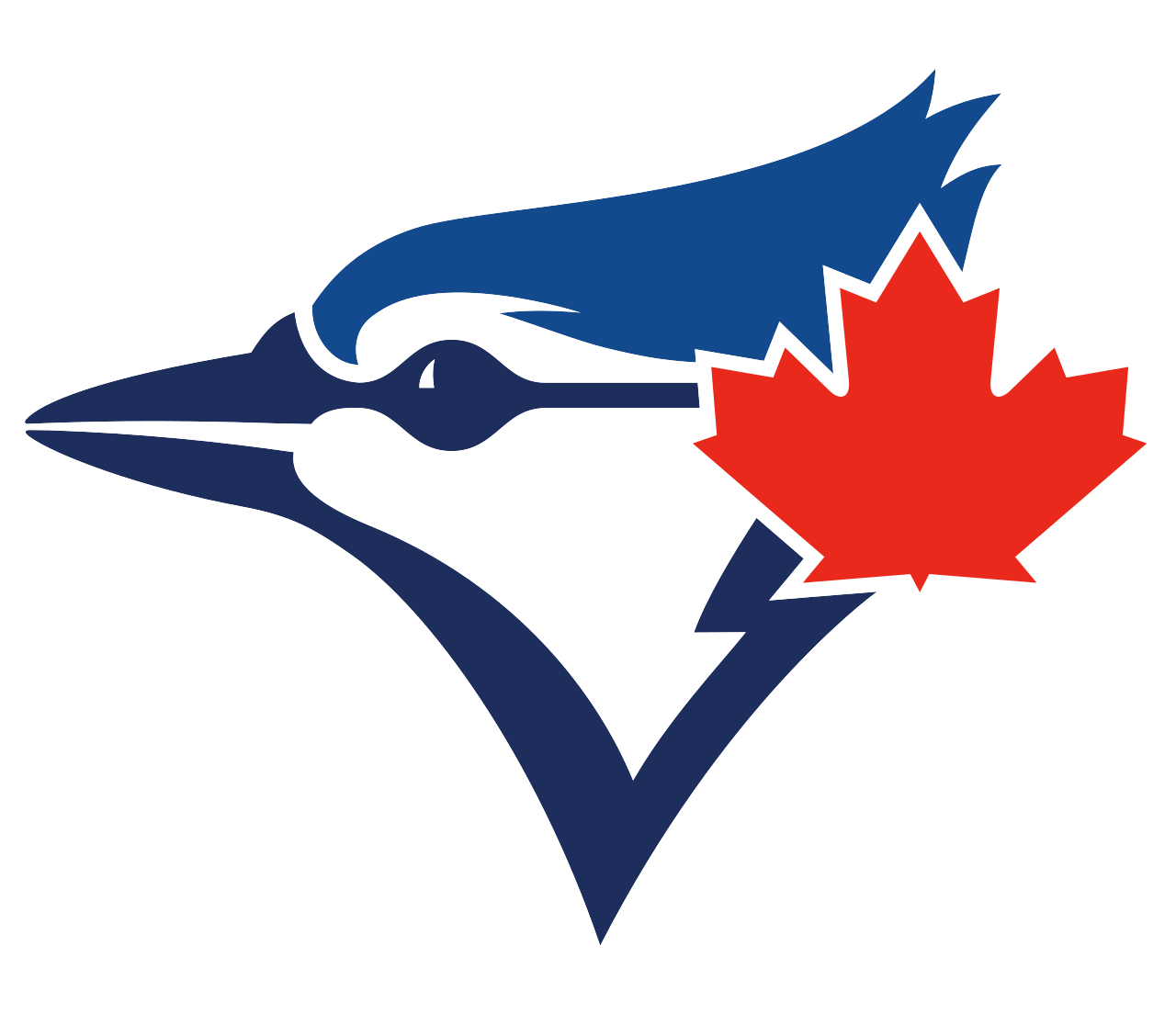 Blue Jays Player Leaves Game After Being Hit by Ball Thrown by Fan ...